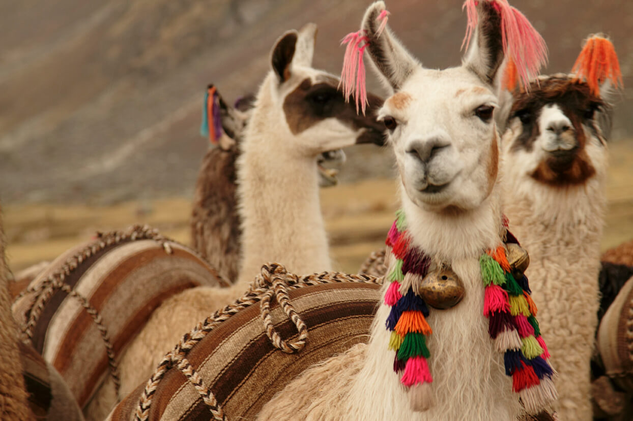 The Best Easter Celebrations in Peru - Aracari Travel